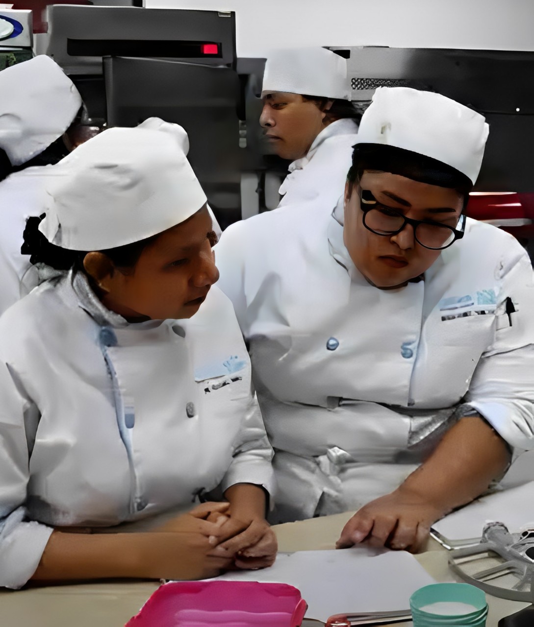 Lic. Gastronomía – UNIVERSIDAD TECNOLOGICA RIVERA MAYA